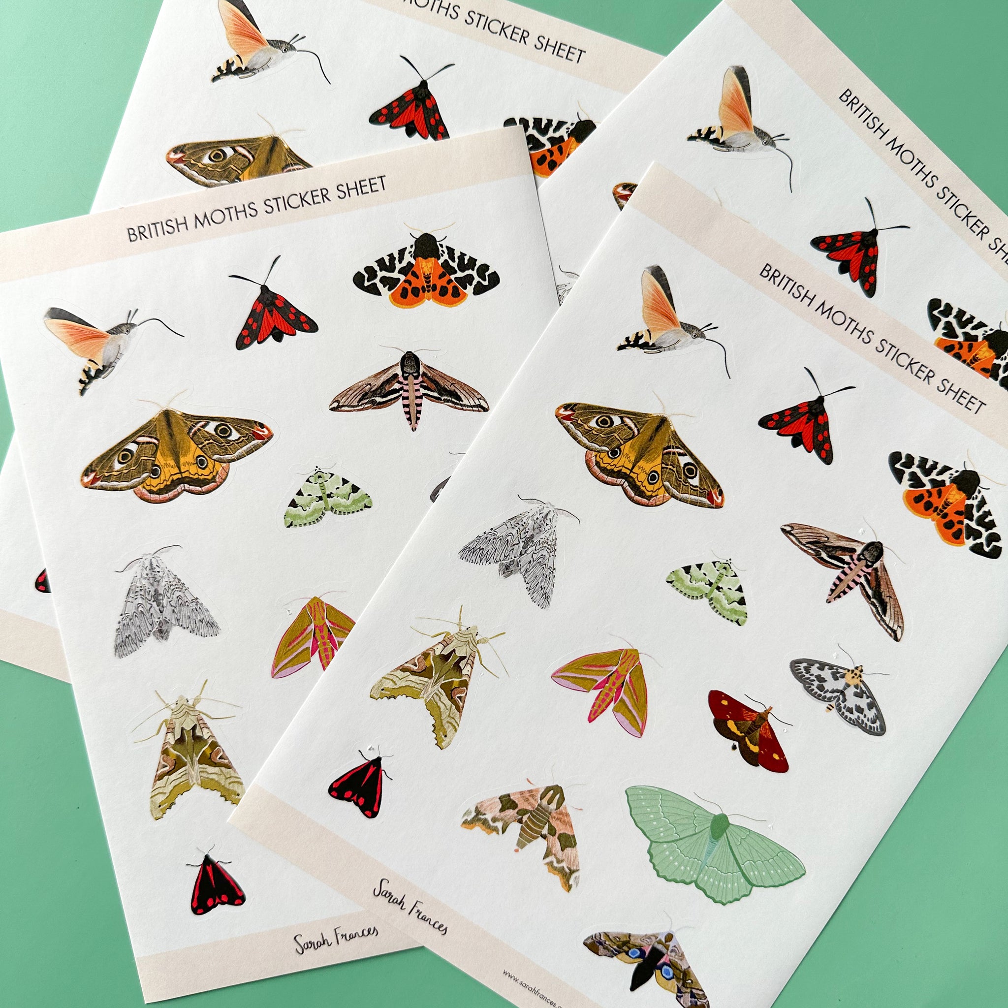 Wildlife British Moth Sticker Sheet | Planner Stickers | BBB Supplies